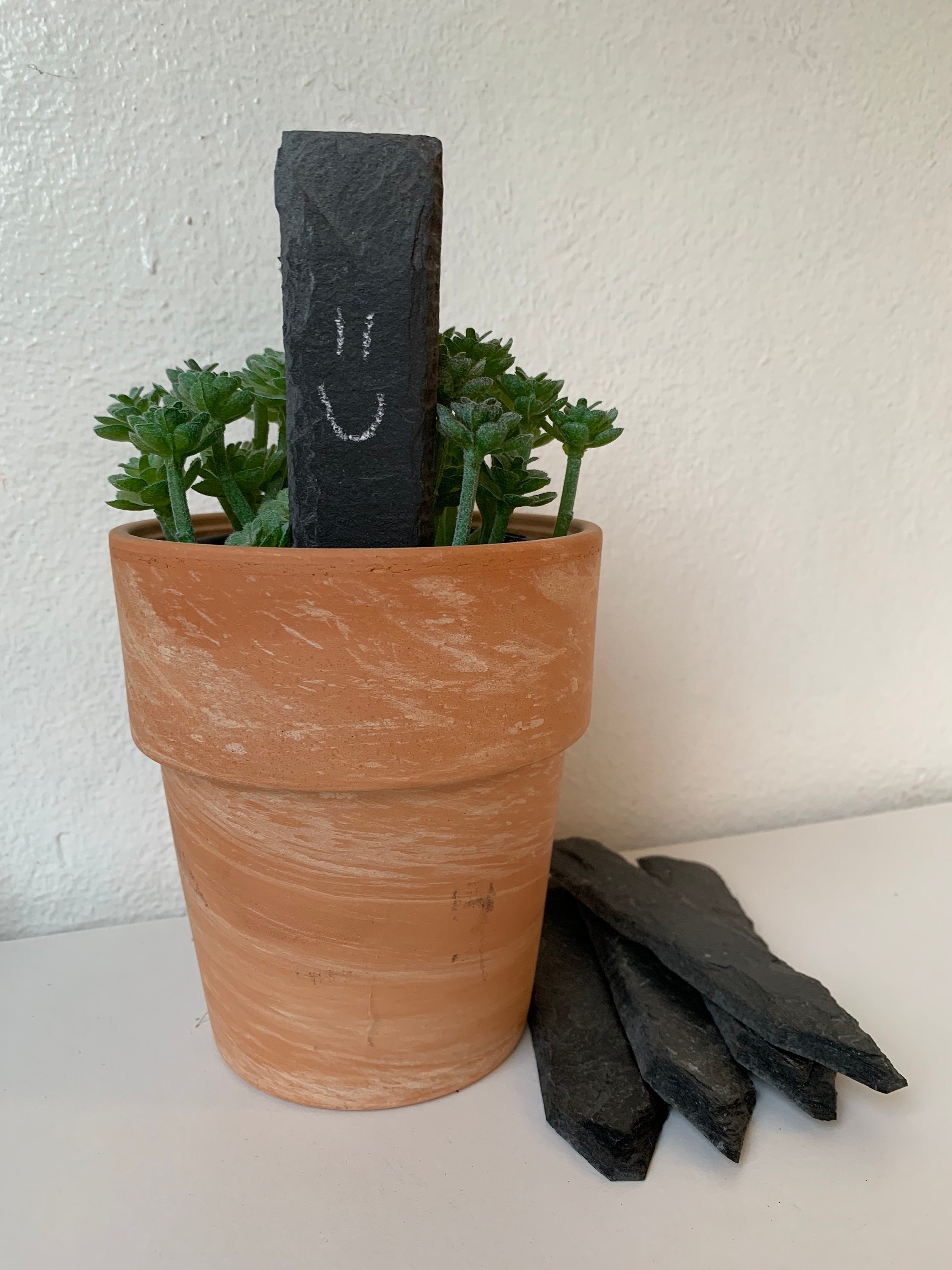 Slate Herb Tags Set of 5 Planter Tags Plant Labels Herbs | Etsy