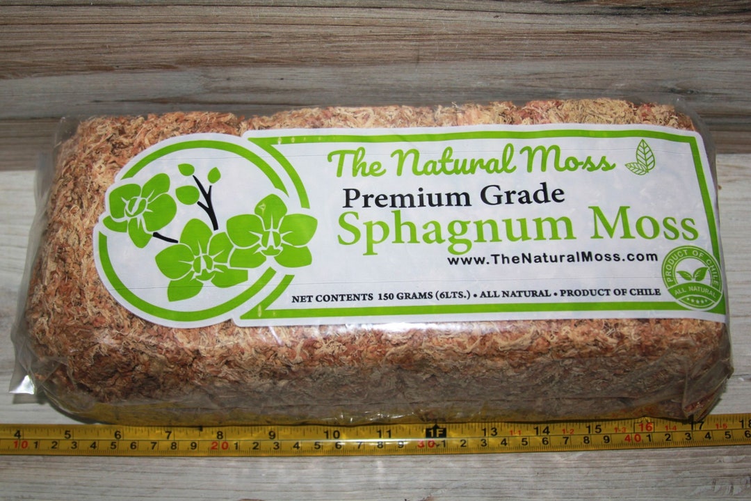 CHILEAN SPHAGNUM MOSS 150grams Compact Pack - Etsy