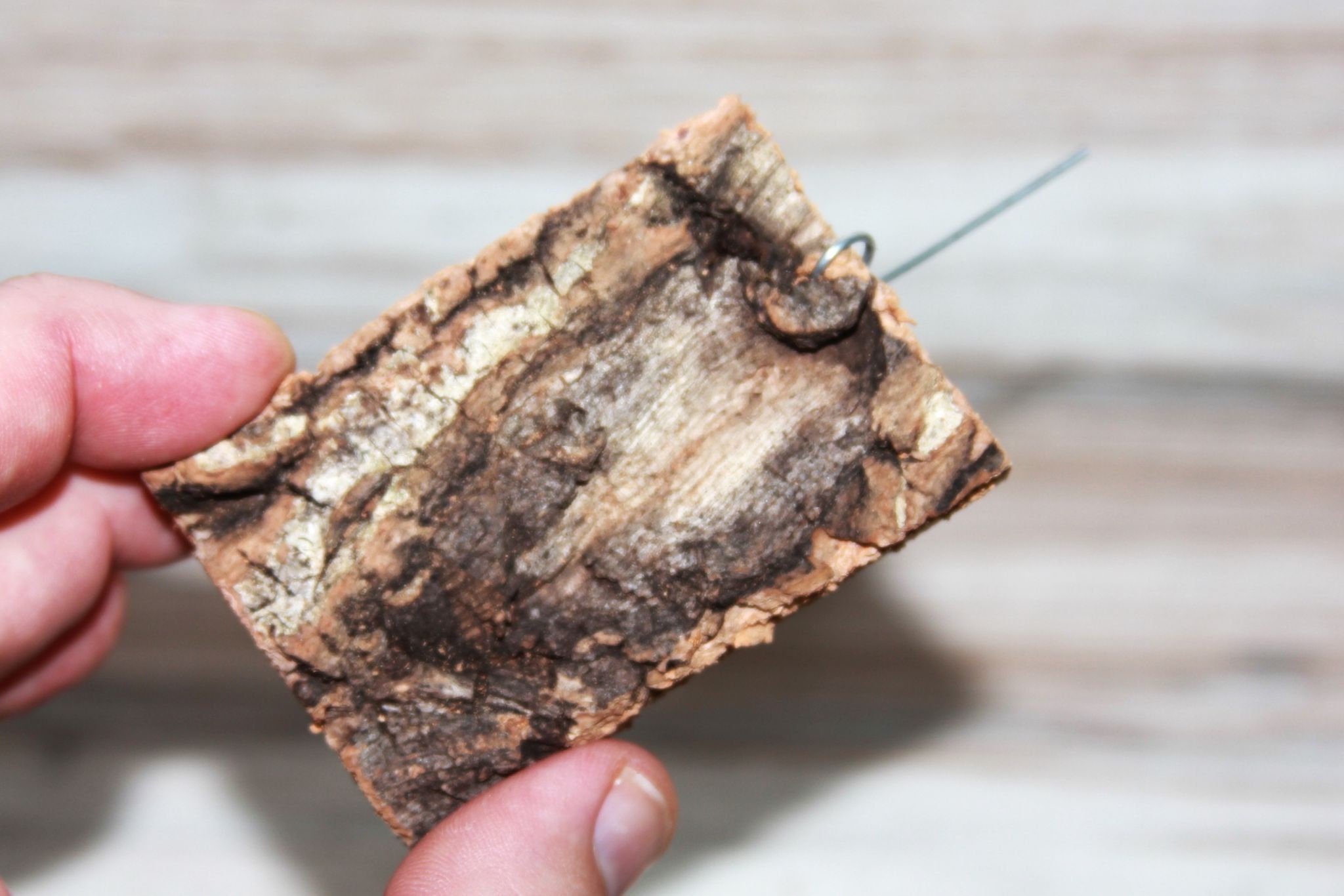 Cork Mounts (set of 5) - Etsy