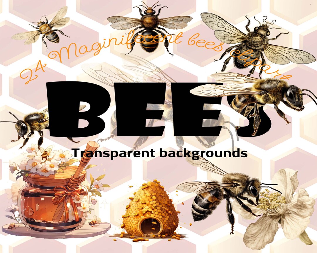 Bee Clipart, Bees Clipart, Honey Bee PNG, Commercial Use, Transparent ...
