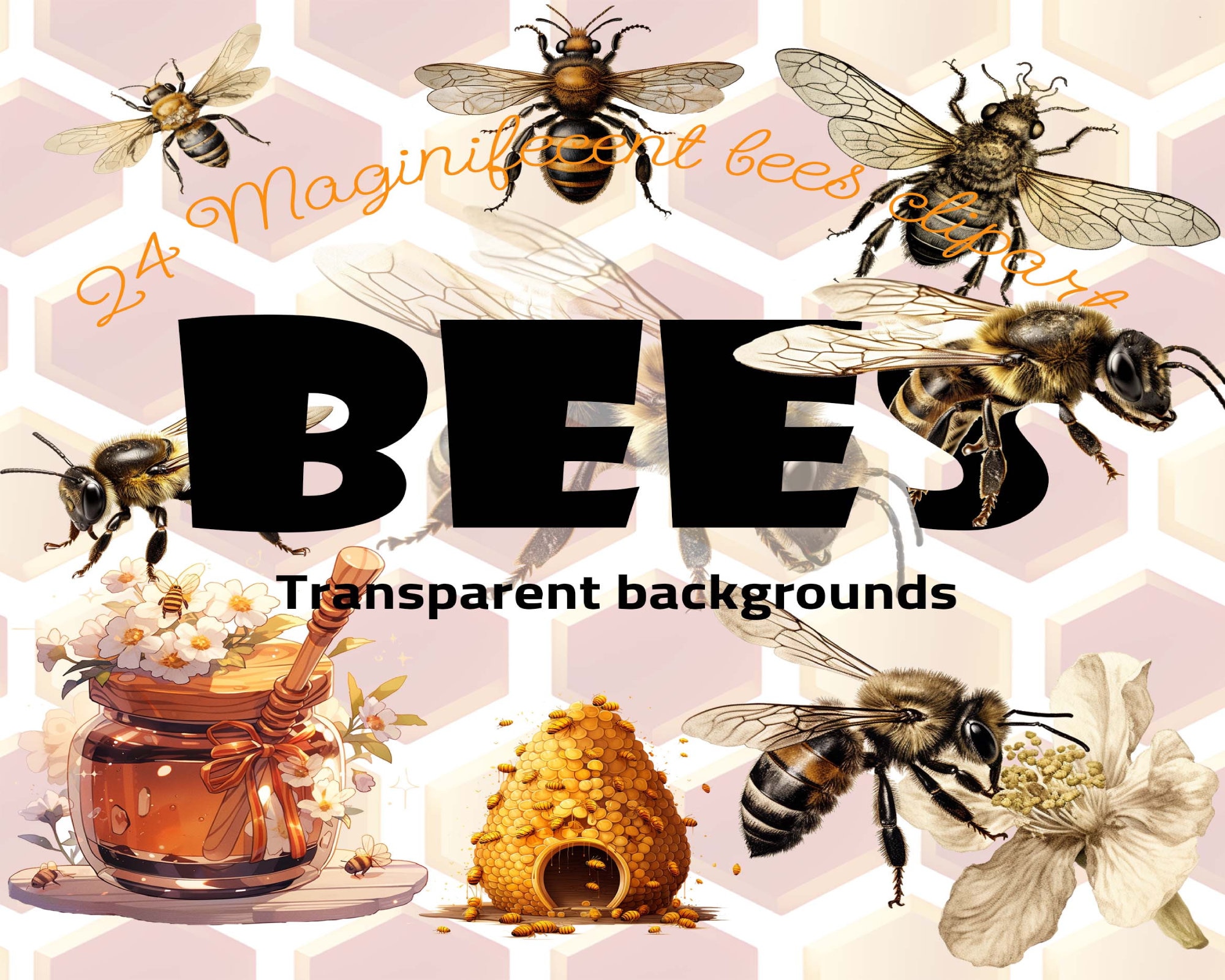 Bee Clipart, Bees Clipart, Honey Bee PNG, Commercial Use, Transparent ...