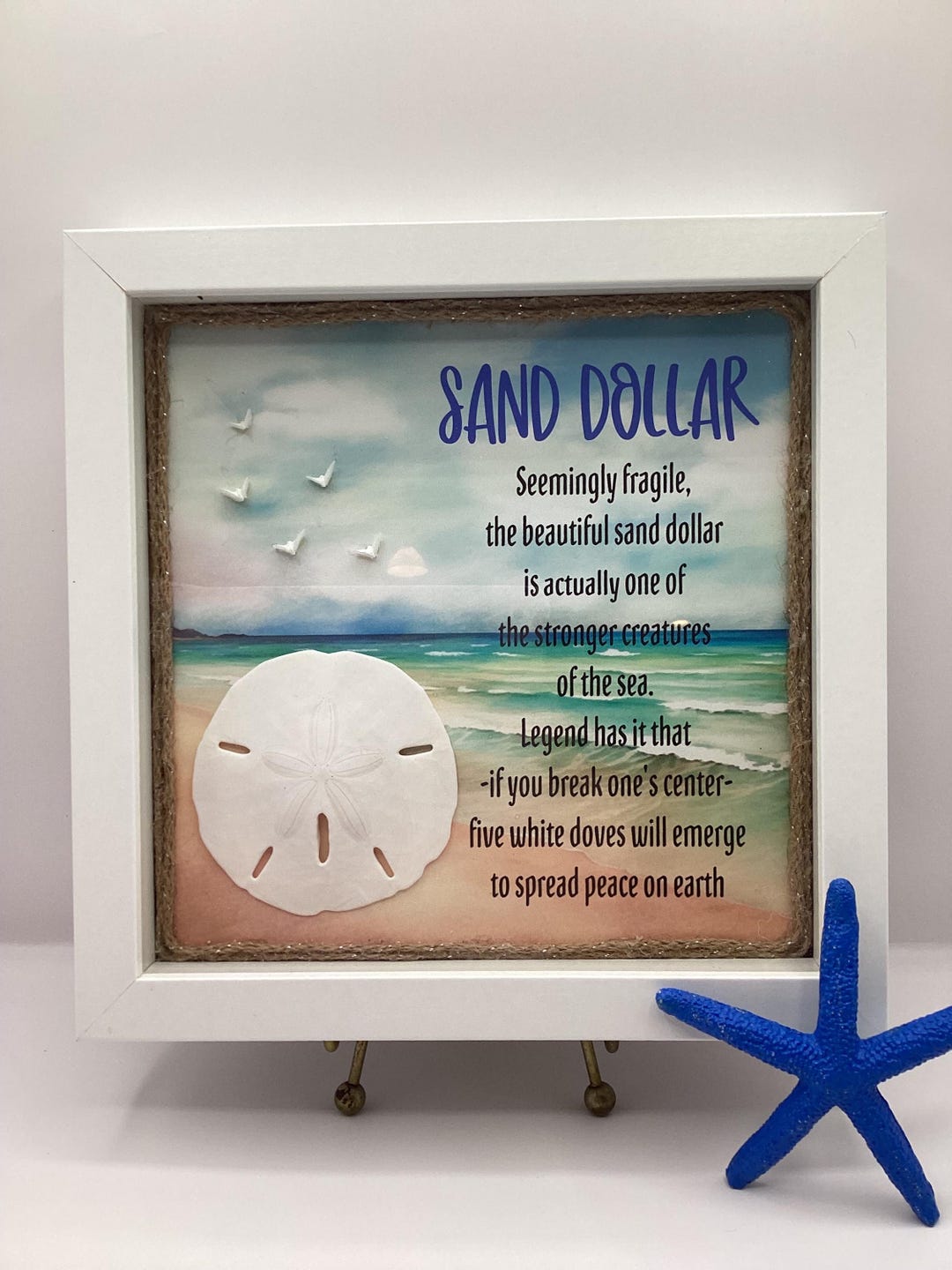 Sand Dollar Shadow Box Picture Frame - Etsy
