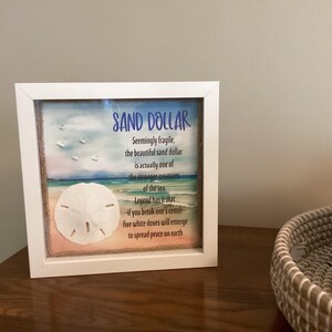 Sand Dollar Shadow Box Picture Frame - Etsy
