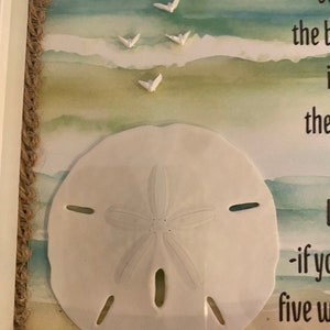 Sand Dollar Shadow Box Picture Frame - Etsy