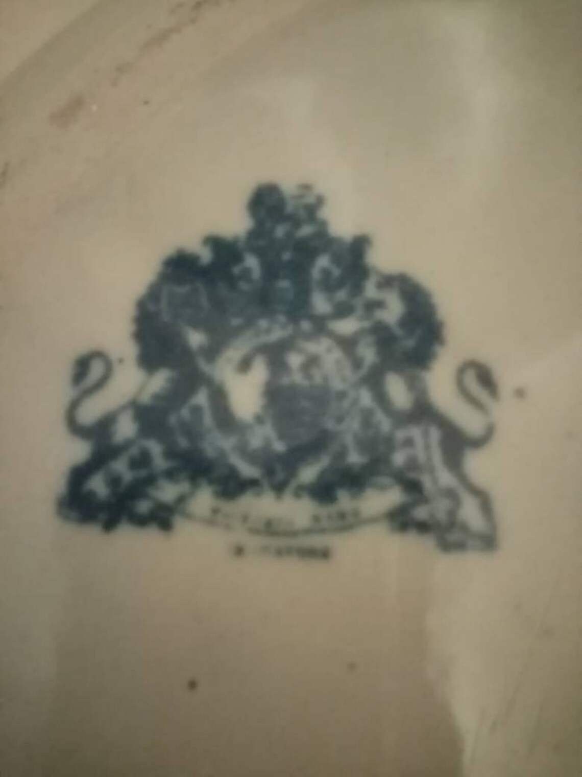 Rare Antique Victoria ware ironstone plate 1880 | Etsy