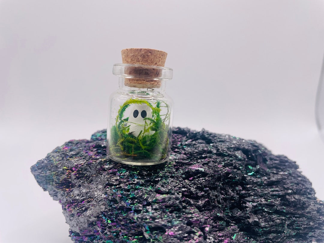 Adoptable Mini Pet Ghost - Etsy
