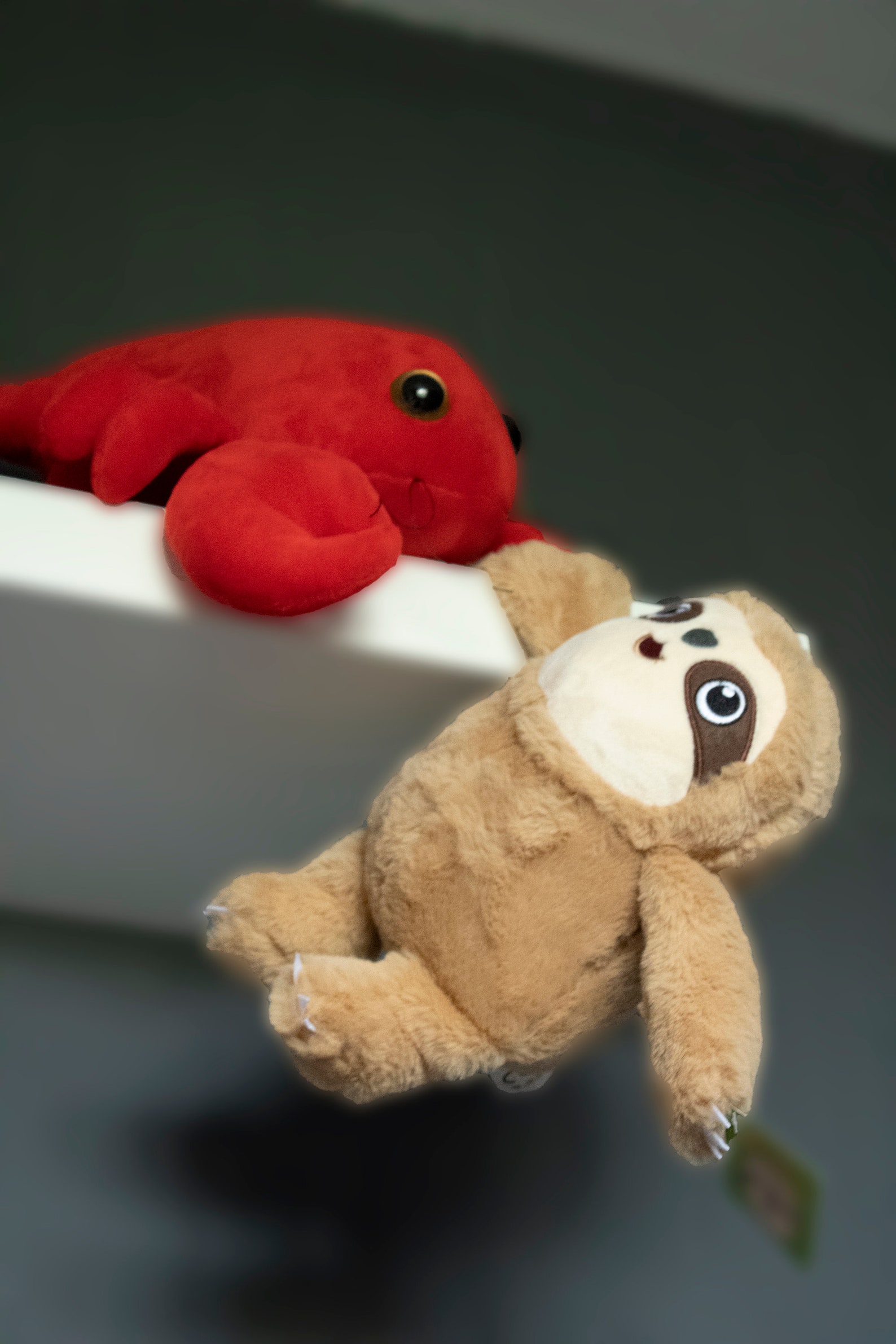 Sloth Gifts Sloth Plush Toy: Adorable Sloth Gift Box Perfect | Etsy