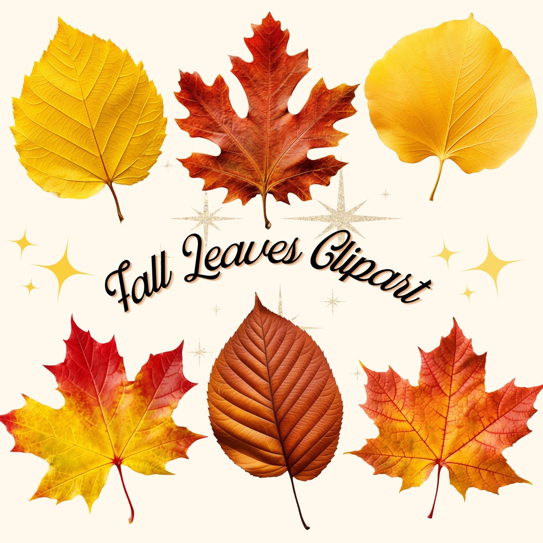 Fall Leaves Clipart 50 Pngs | Autumn Leaves Clipart | Autumn Fall ...