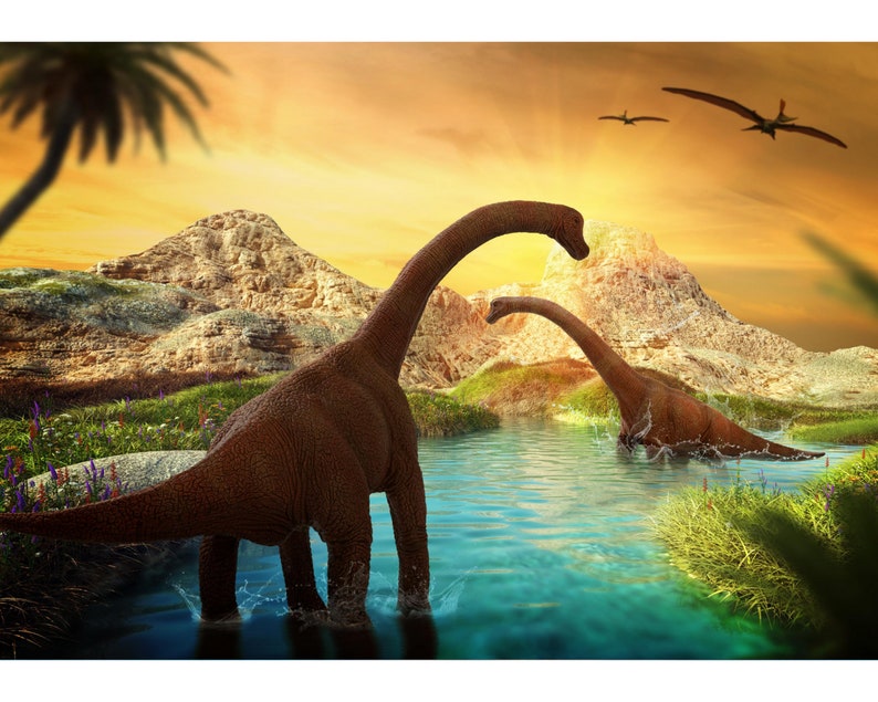 Dinosaurs Posters Print Dinosaurs Wall Art Colorful Kids | Etsy