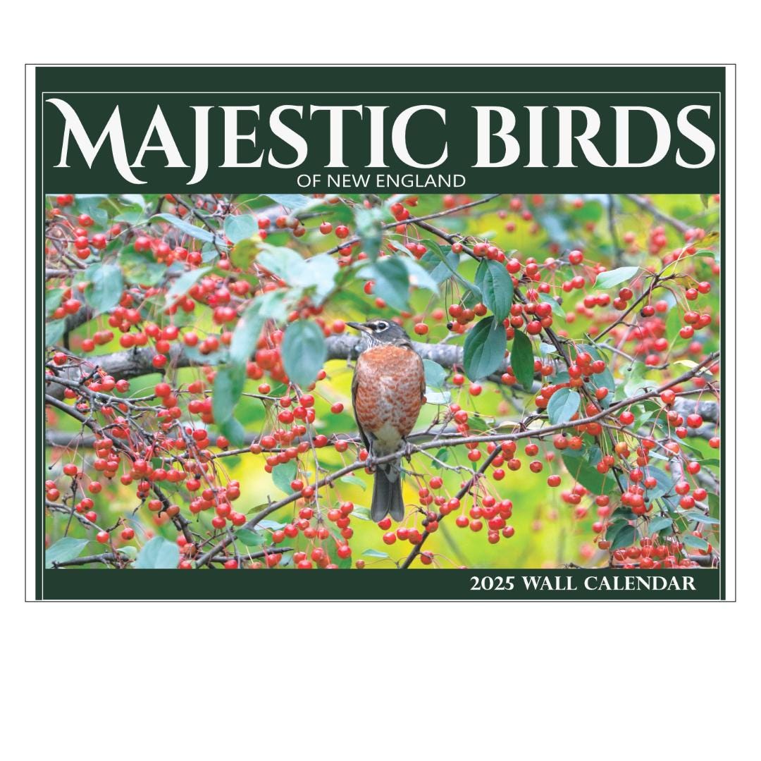 12 Month Wall Calendar From New England Prints, Original Photography ...