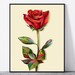 Red Rose Art Print - Etsy