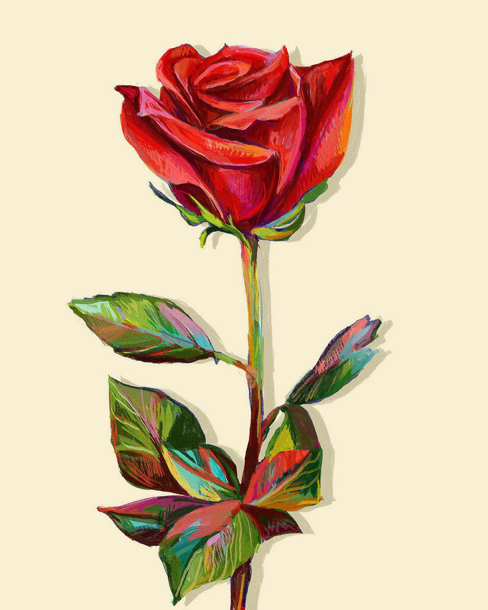 Red Rose Art Print - Etsy