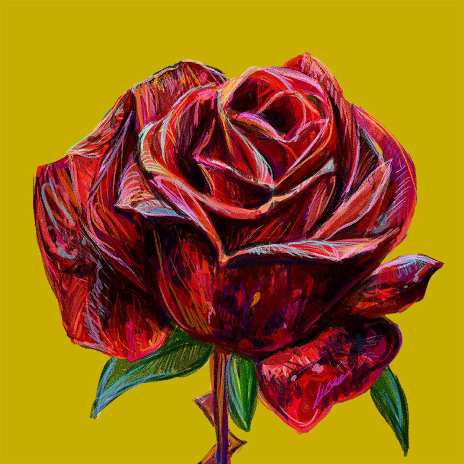 Beautiful Rose Art Print Floral Home Deco - Etsy