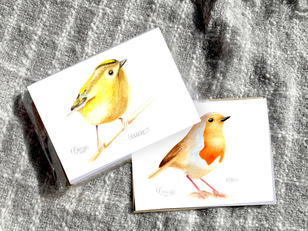 Set of 8 English Bird Cards With Envelopes - Etsy