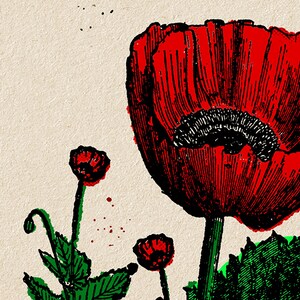 Poppy Poster by Shree - the Great Indian Decor™ | Limited Edition ...