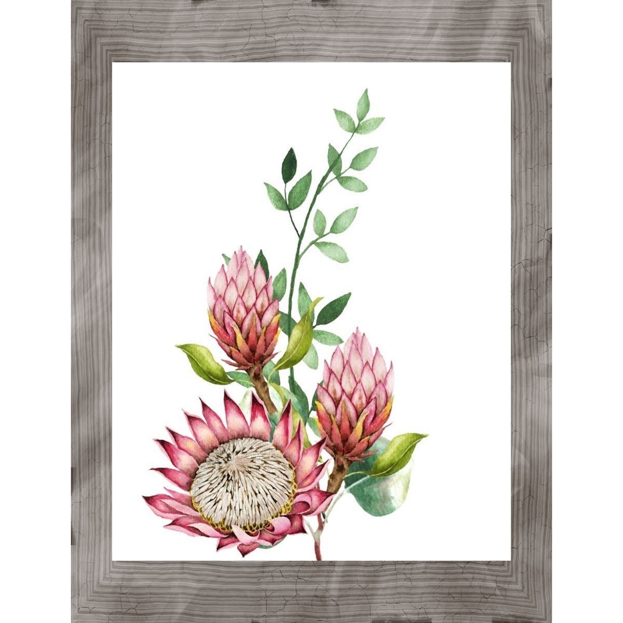 Protea Wall Art Floral Wall Art Set of 3 Protea Prints - Etsy