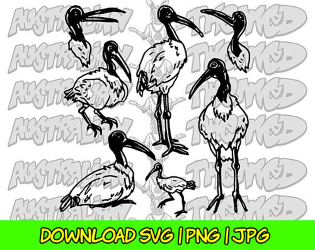 Bin Chicken SVG, Ibis Svg, Bin Chicken Clipart, Bin Chicken Line Art ...