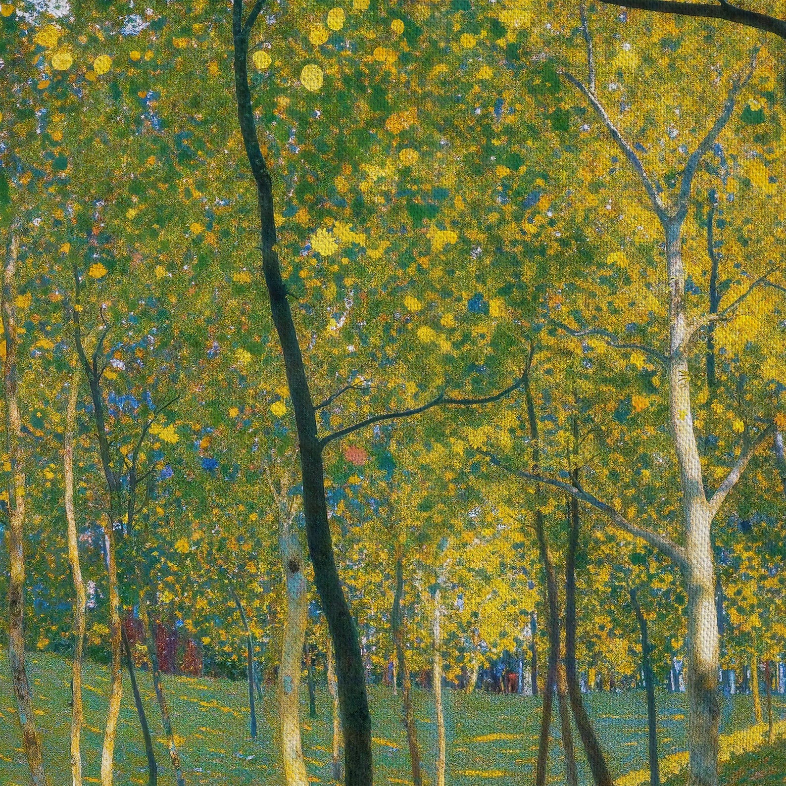 Shade Trees Framed Canvas Art Prints : Forest View Wall Art,various ...
