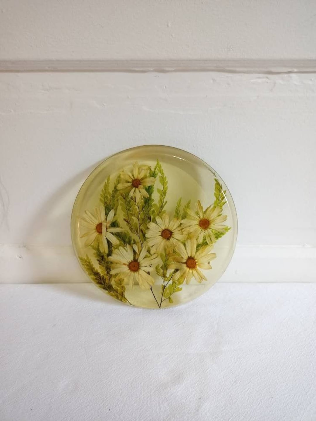 Lucite Trivet Pressed Flower Daisy Trivet Vintage 1960's - Etsy New Zealand