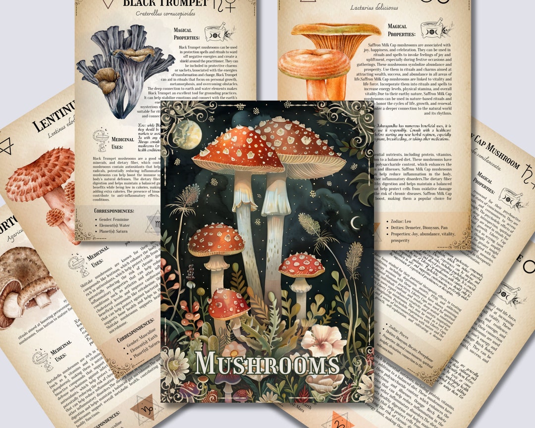 The Ultimate Guide of Mushrooms. 30 Pages. Printable - Etsy
