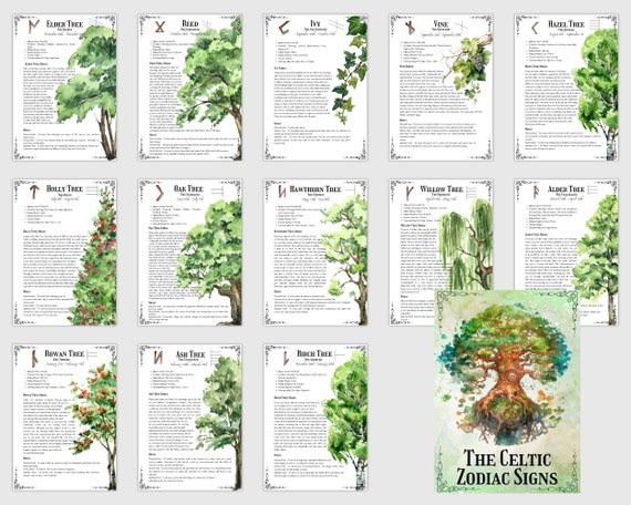 Trees according to zodiac signs 60 photos - Astrologytoyou.com