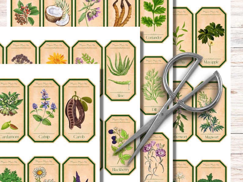Apothecary Herb Labels: 145+ Witchcraft Botanical Tags (digital ...