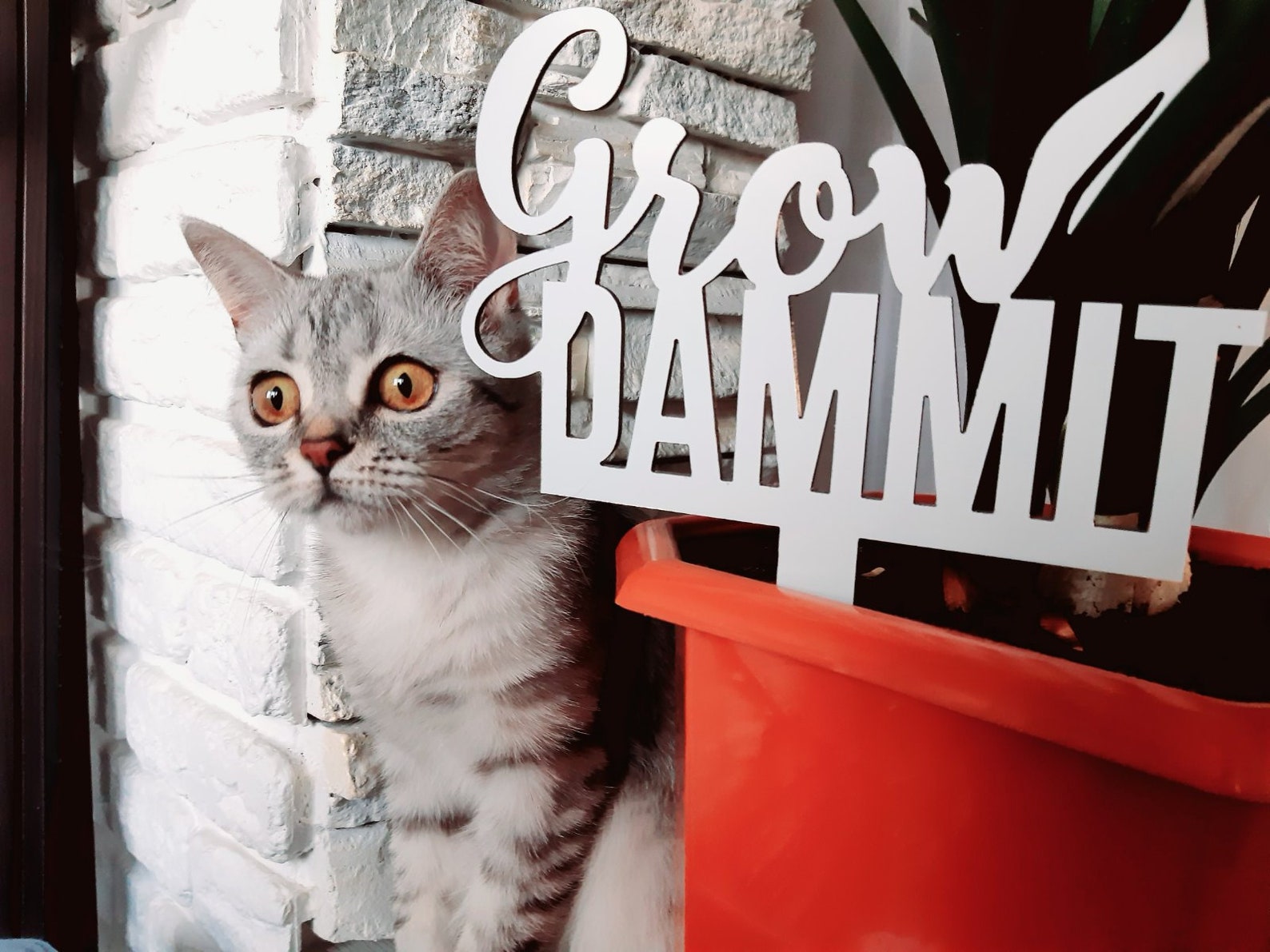 Grow Dammit Garden Metal Sign Metal Grow Dammit Signs | Etsy