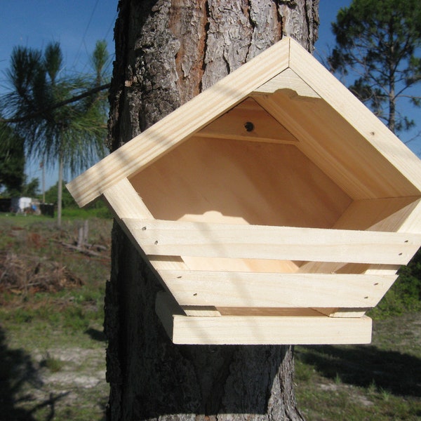 Mourning Dove - Etsy