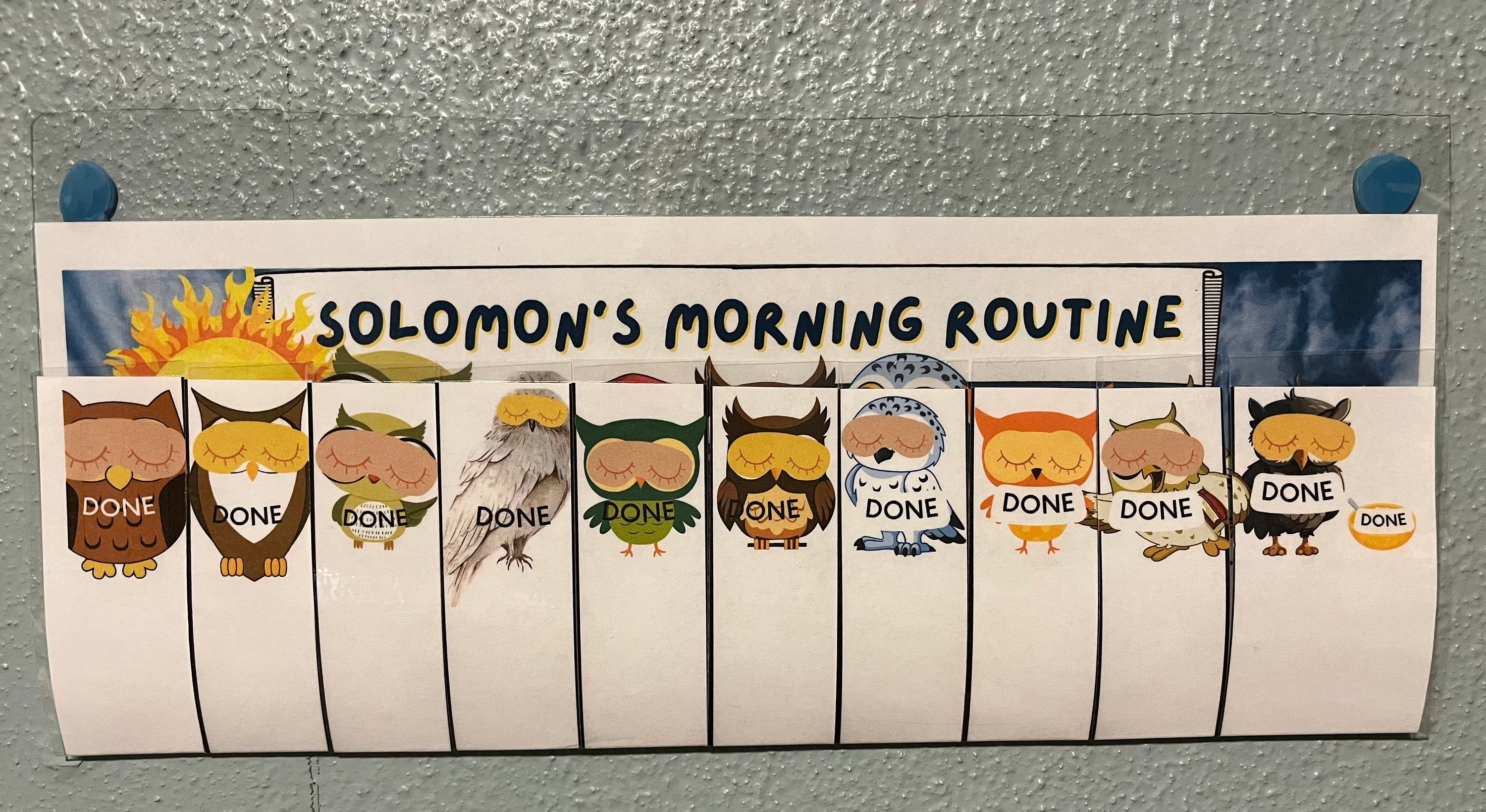 Kids Visual Schedule, OWLS, Flip Chart,autism,hyperlexia,pdf,8 1/2" X ...