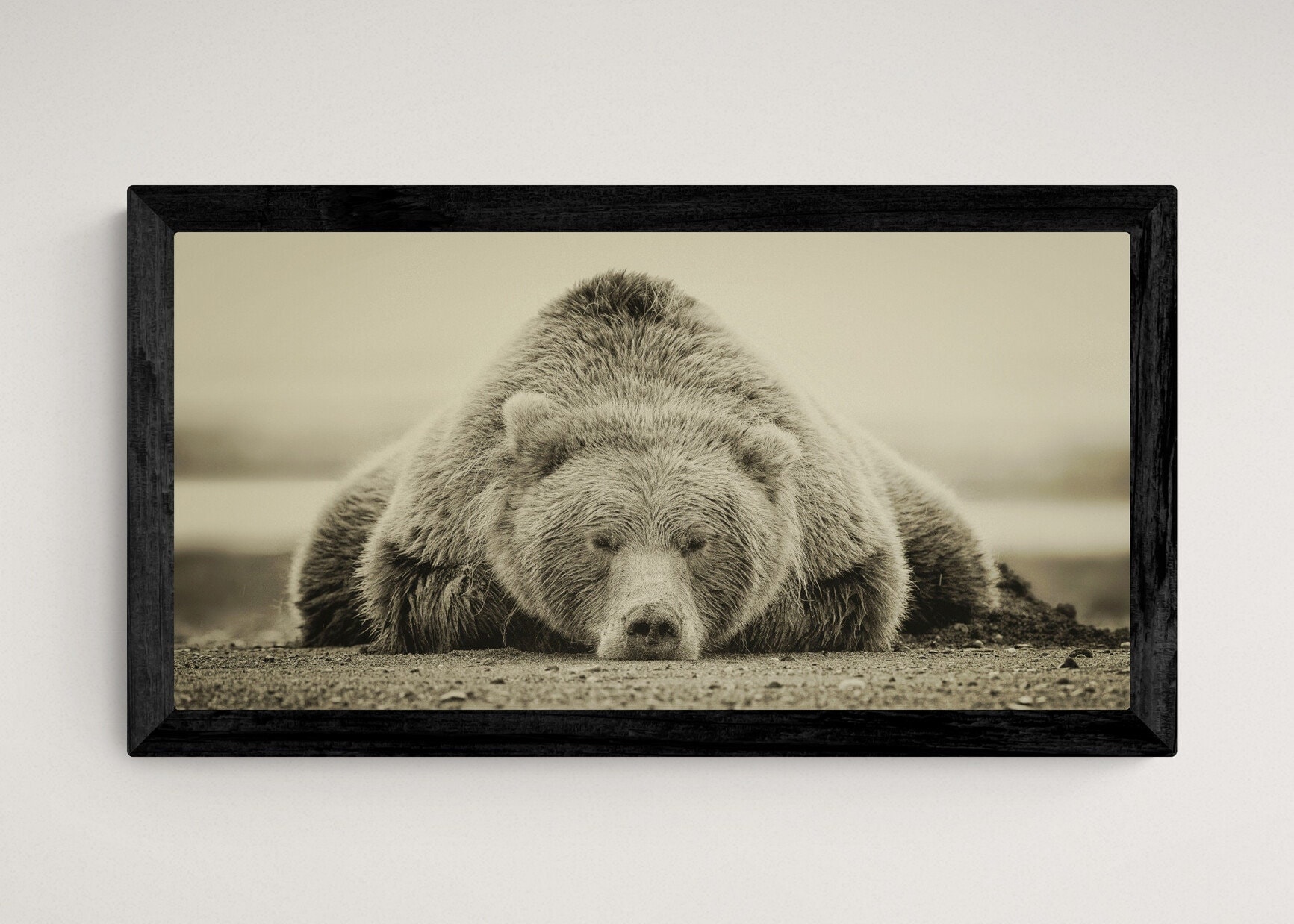 Deep Sleep Bear by Ph Burchett Art Print Home Decor Rustic - Etsy Canada