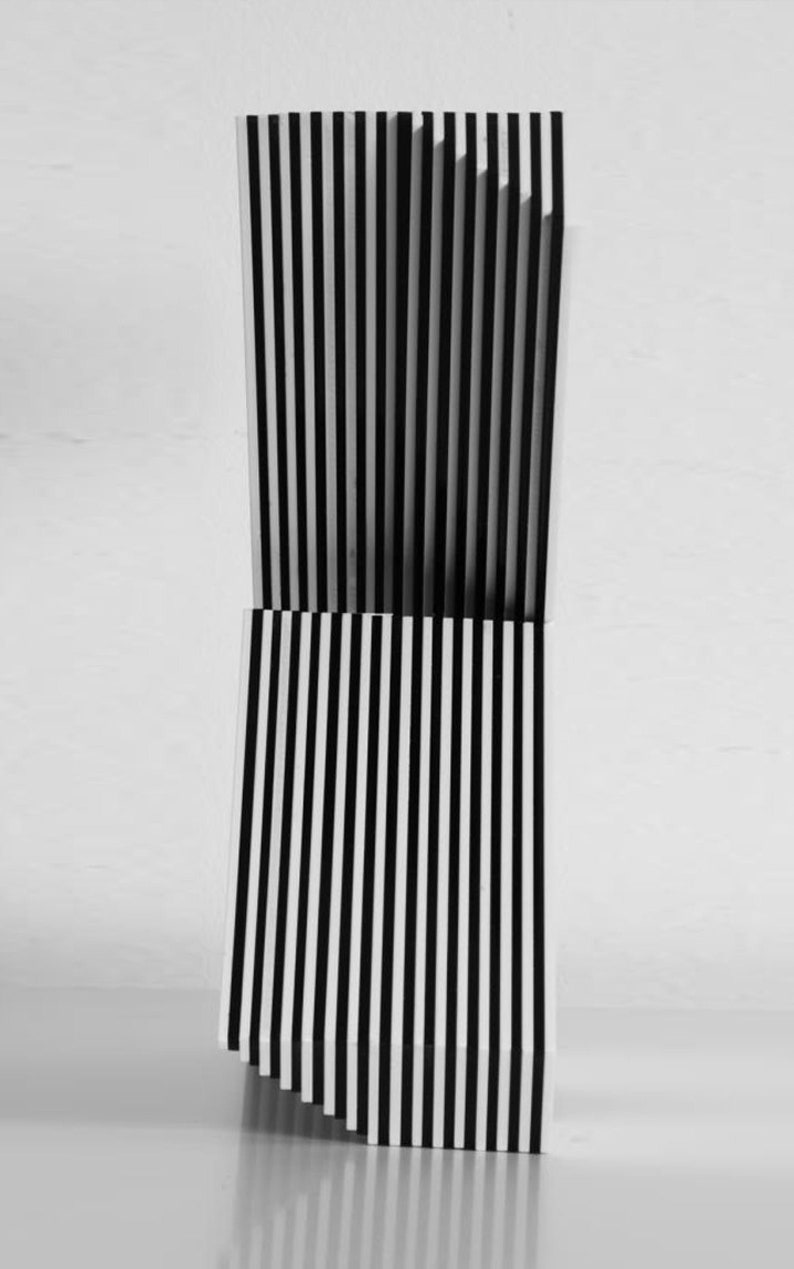 Luisa Russo Limited Edition Scultura in Plexiglas Illusion - Etsy