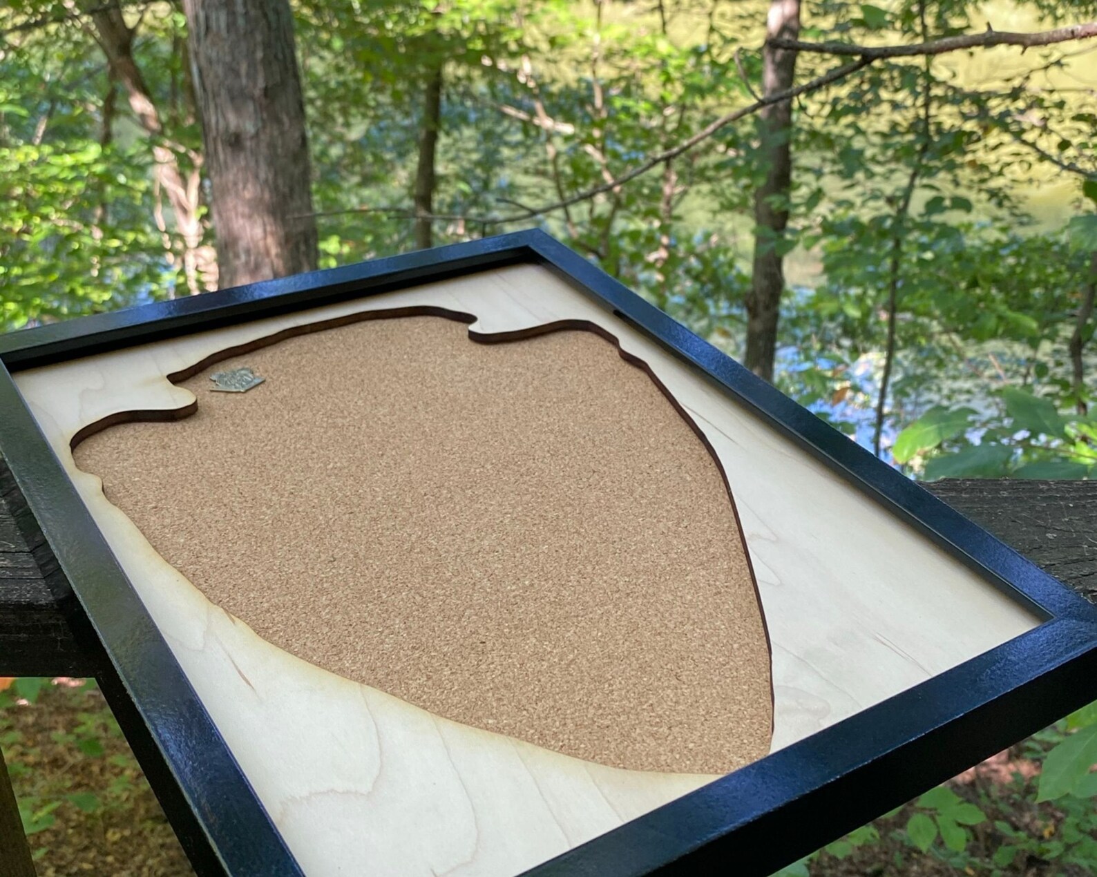 National Park Pin Display Shadowbox / National Park Shadowbox - Etsy