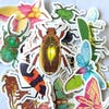 Bug Wall Decals - Insect Wall Art, Nursery Decor, Kids Room Decal ...