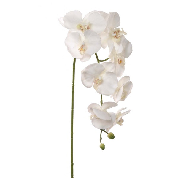 Real Touch Orchid - Etsy