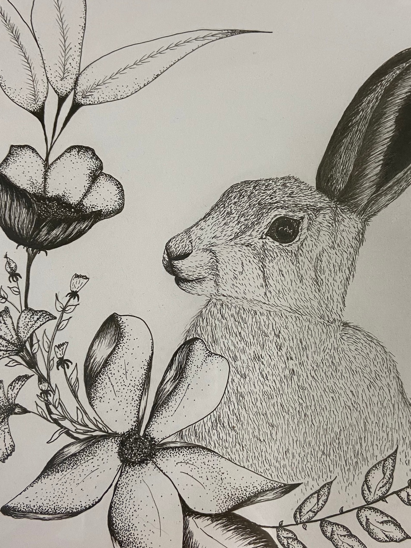 Original Illustration of a Hare - Etsy