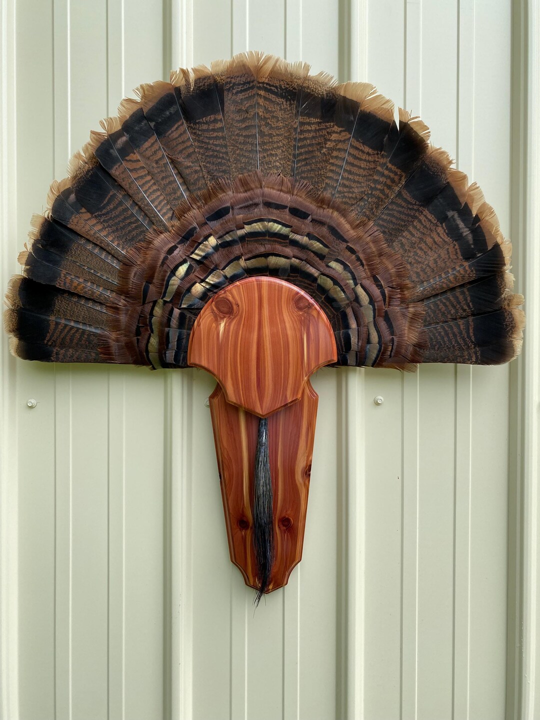 Red Cedar Turkey Tail Beard Plaque - Etsy
