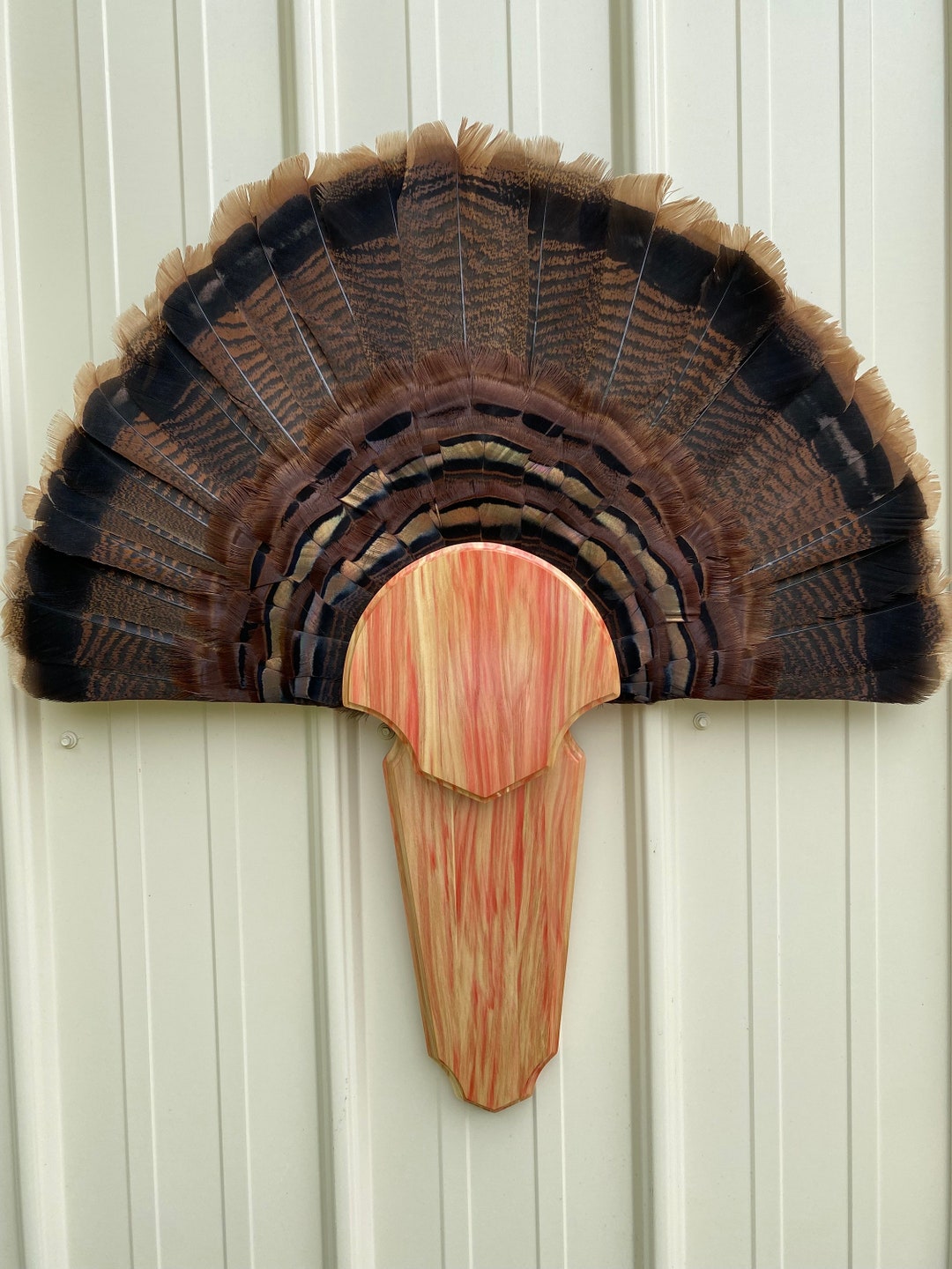 Your Choice Turkey Tail/beard Trophy Plaque, Box Elder Wood - Etsy