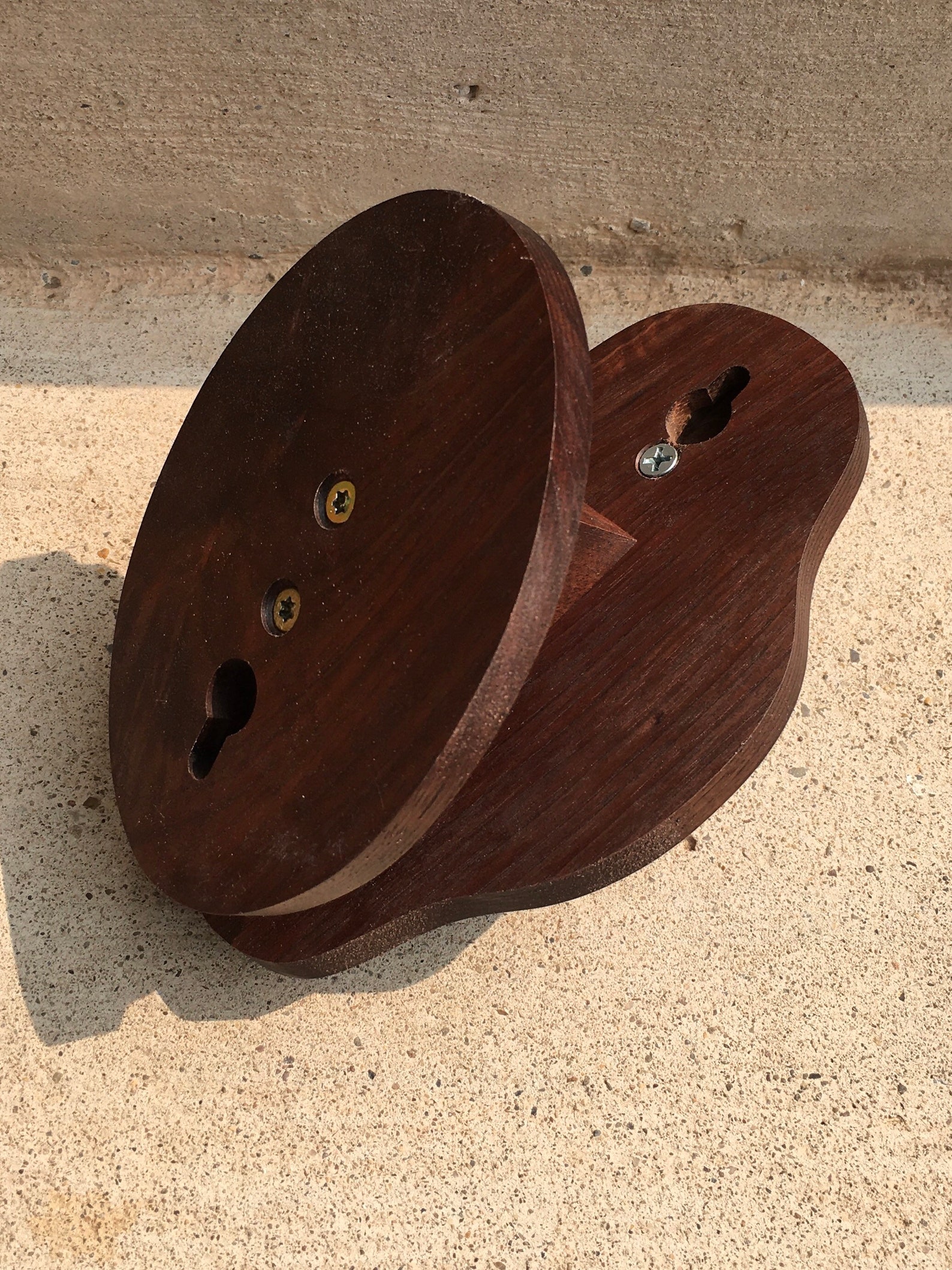 Bobcat Beaver Otter Skull Display Plaques - Etsy