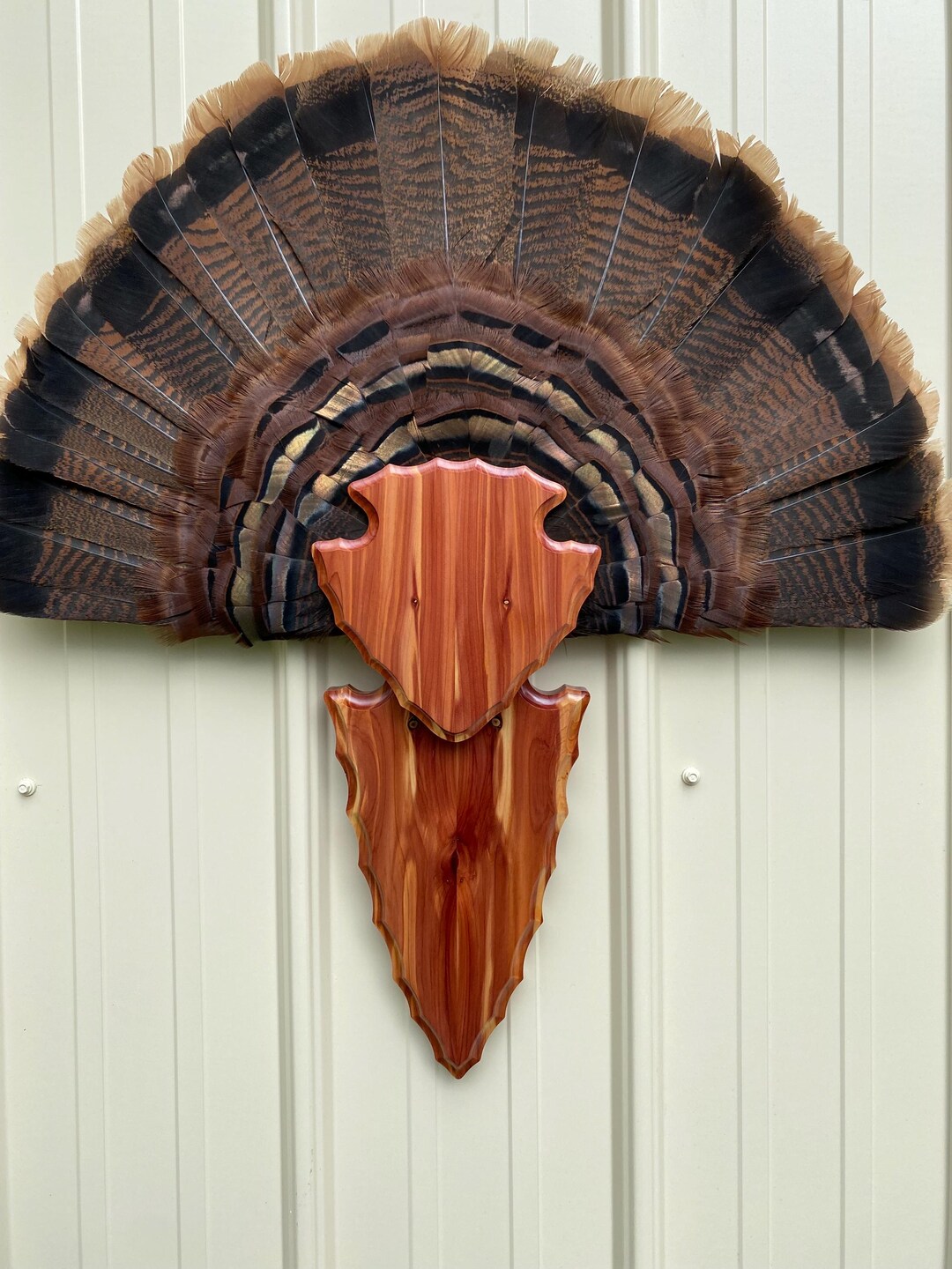 Arrowhead Style Turkey Tail/beard Display Plaque Made From Red Cedar ...
