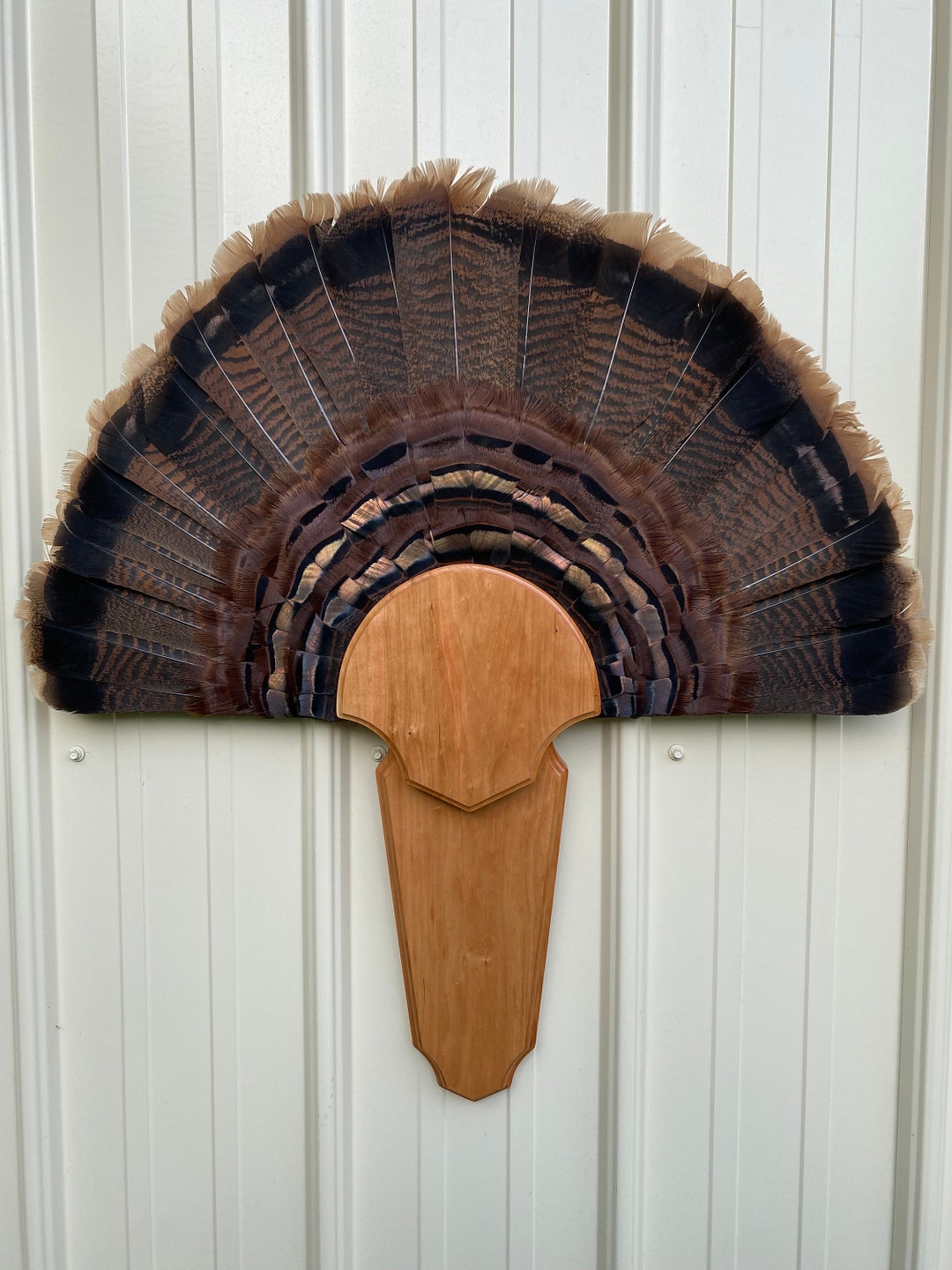 Black Cherry Wood Turkey Tail Beard Plaques - Etsy