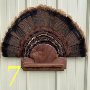 Premium Walnut Turkey Tail/multi-beard Plaque - Etsy