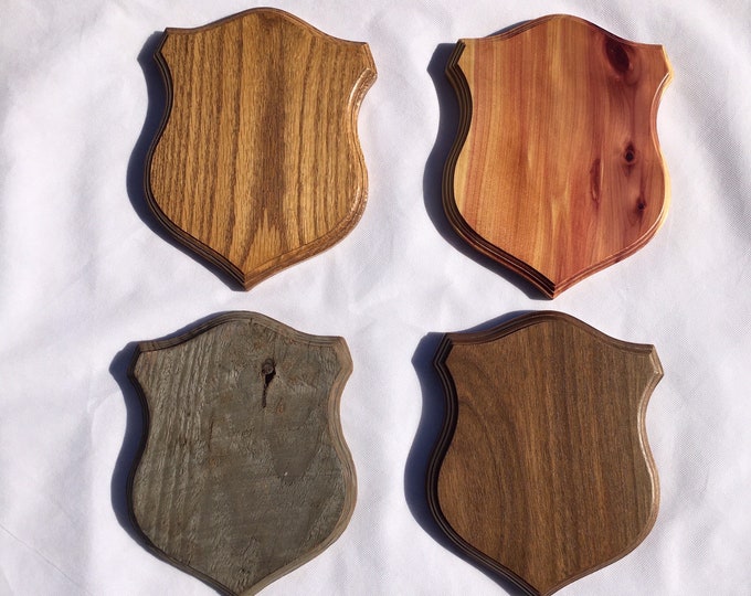 8” X 10” Shield Plaque - Etsy