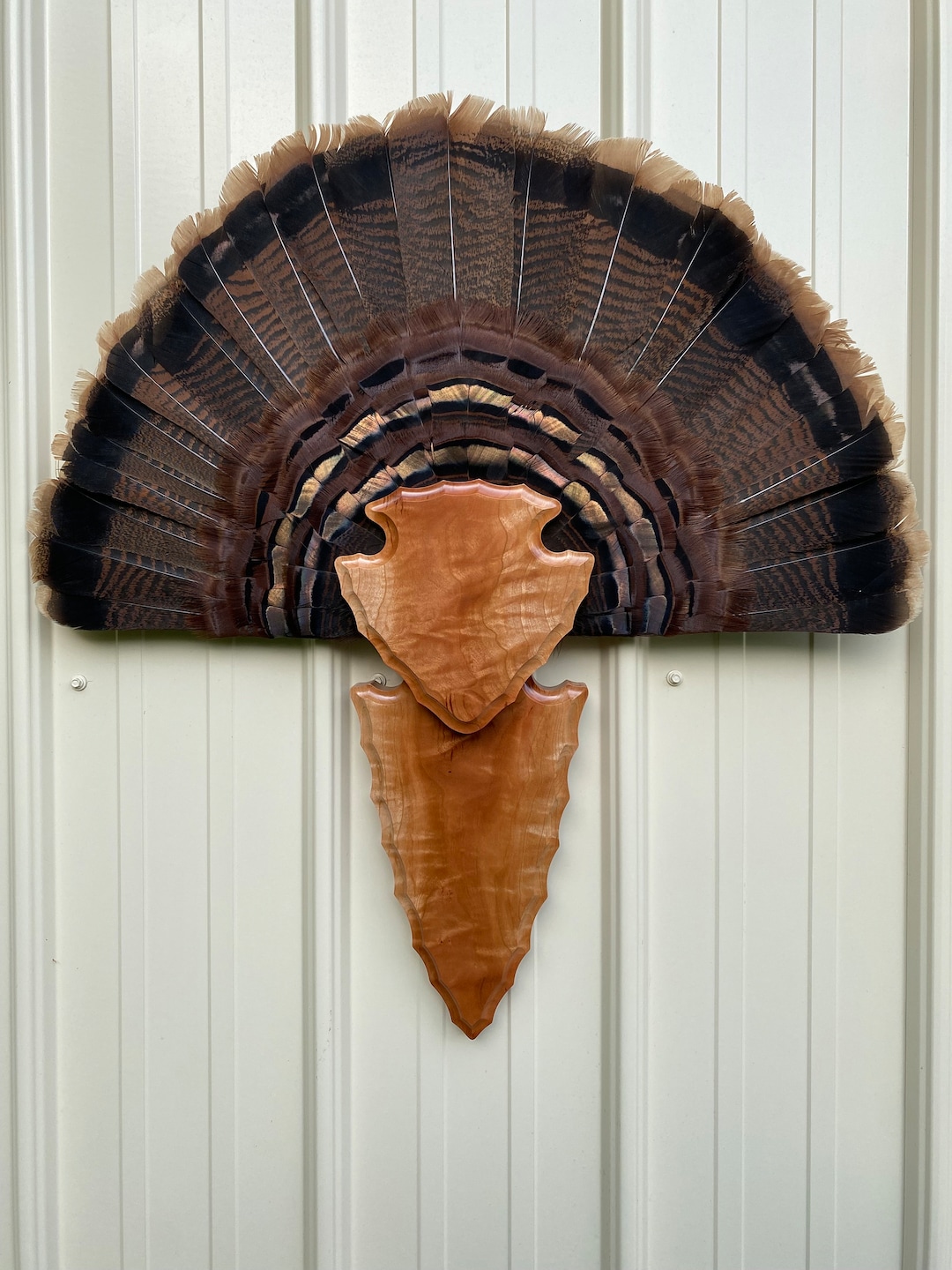 One of a Kind Curly Black Cherry Turkey Fan/beard Trophy Plaque ...