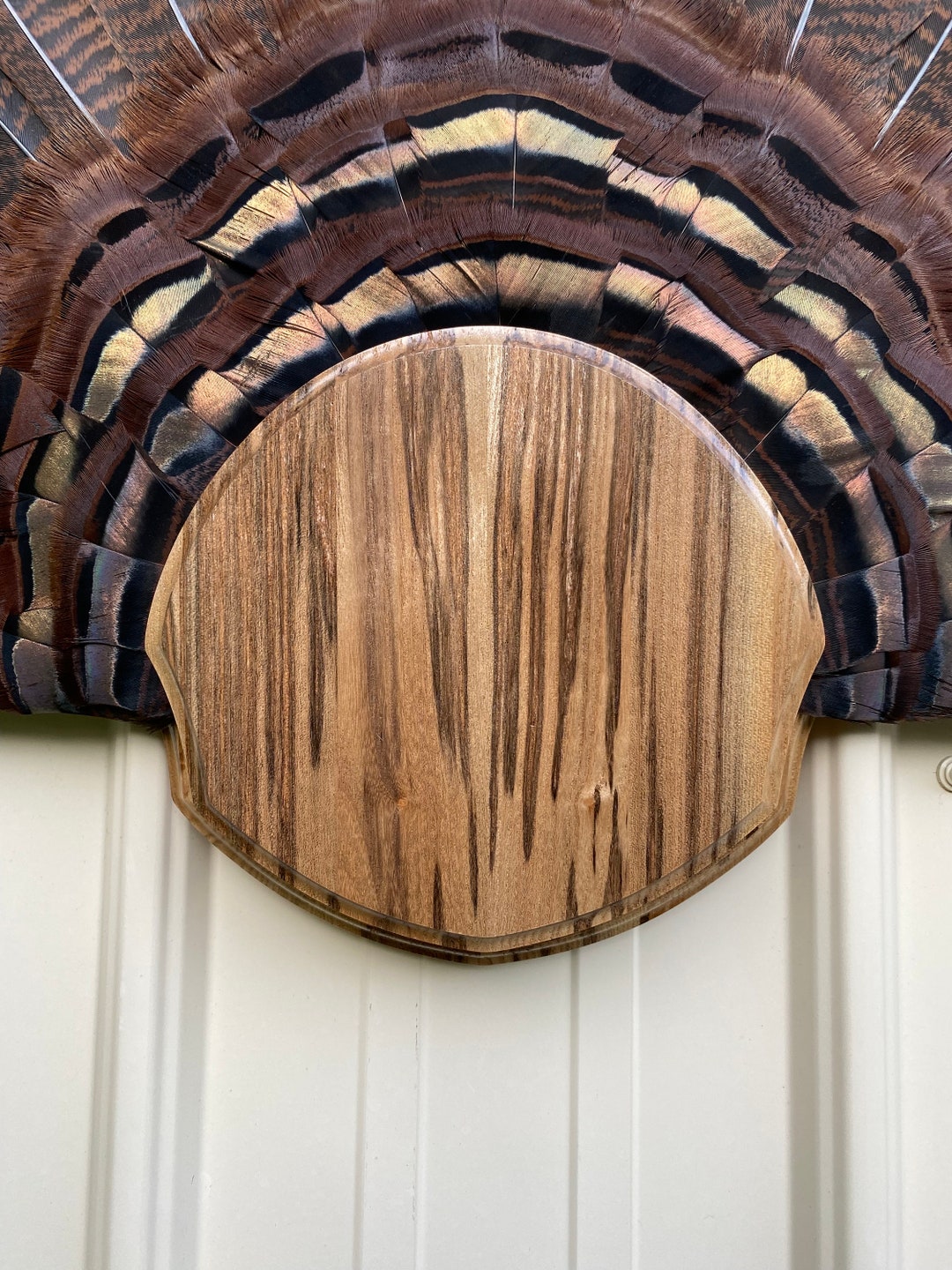 Turkey Trophy Fan Display Made From Spalted Sassafras Wood - Etsy