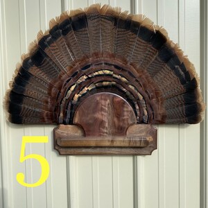 Premium Walnut Turkey Tail/multi-beard Plaque - Etsy