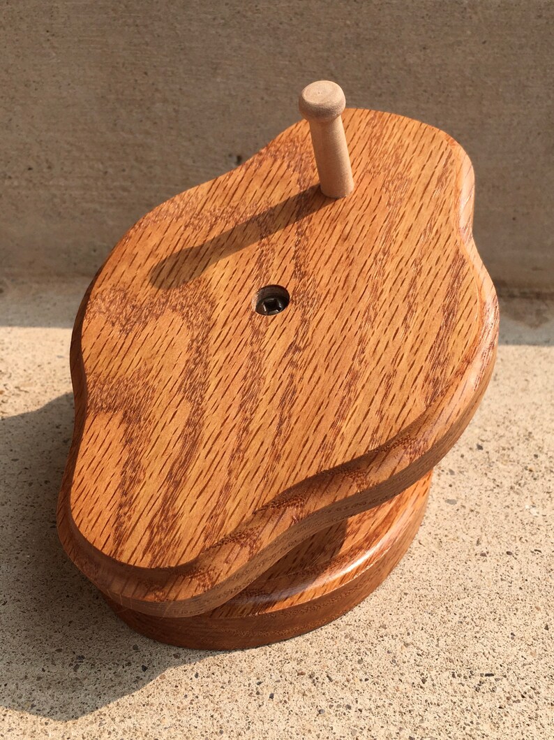 Bobcat Beaver Otter Skull Display Plaques - Etsy