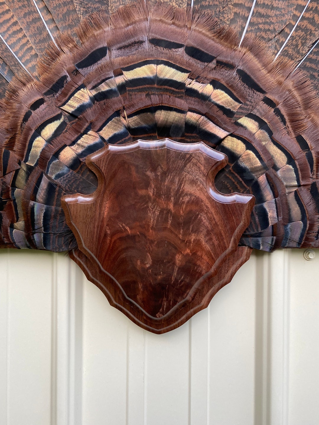 Your Choice, Premium Figured Walnut Turkey Fan Mount Plaques, Arrowhead ...