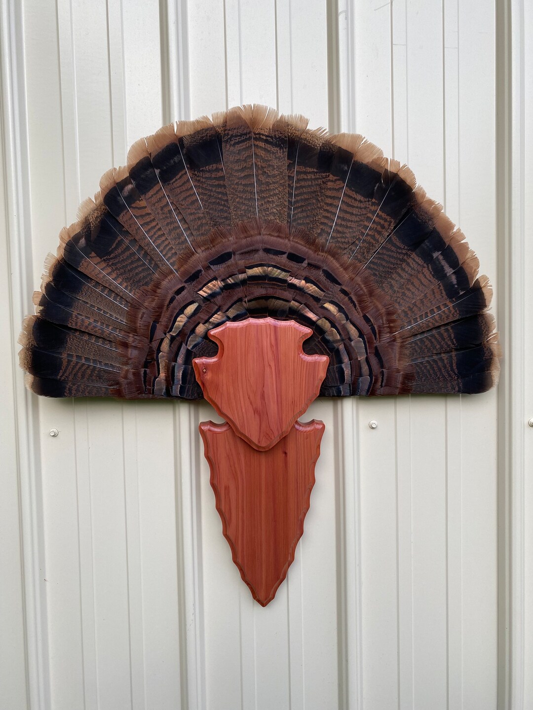 Eastern Red Cedar Turkey Fan and Beard Plaque, Arrowhead Design - Etsy