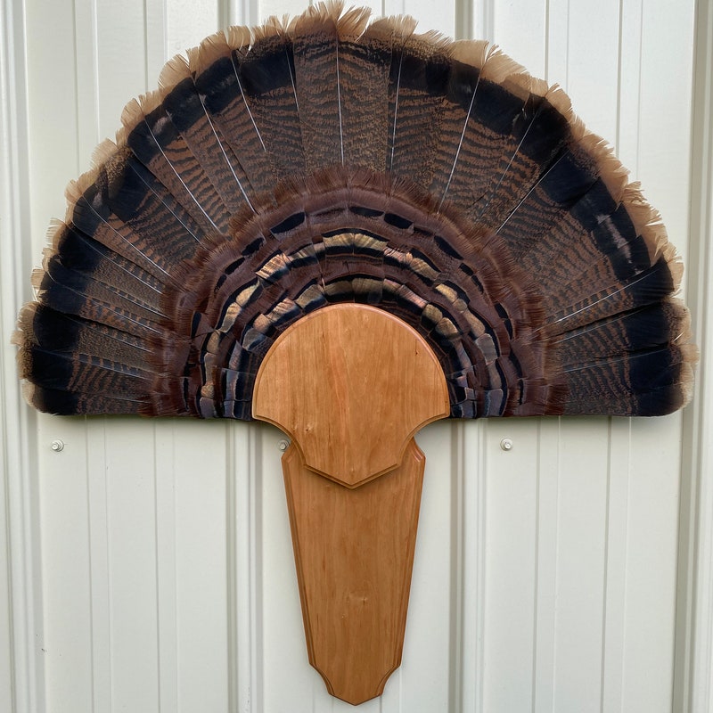Turkey Beard Holder - Etsy