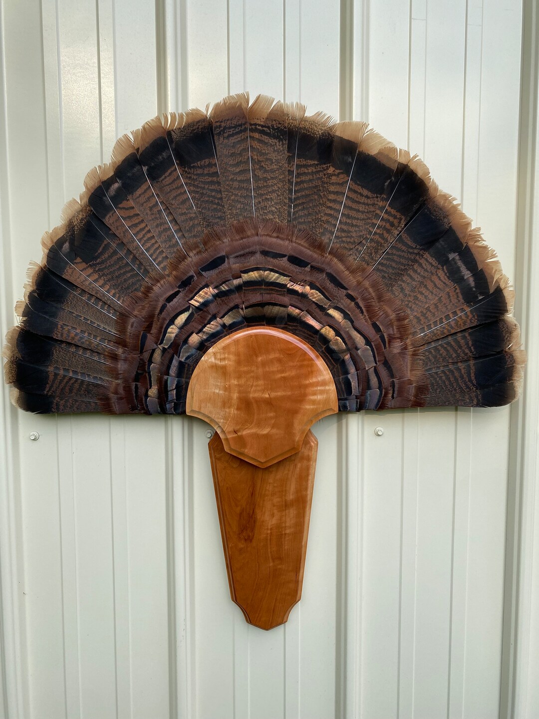 Curly Black Cherry Turkey Fan and Beard Plaque: Trophy Display - Etsy